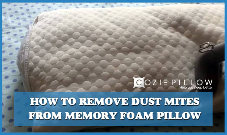 Can Dust Mites Live In Memory Foam Pillows and Mattress